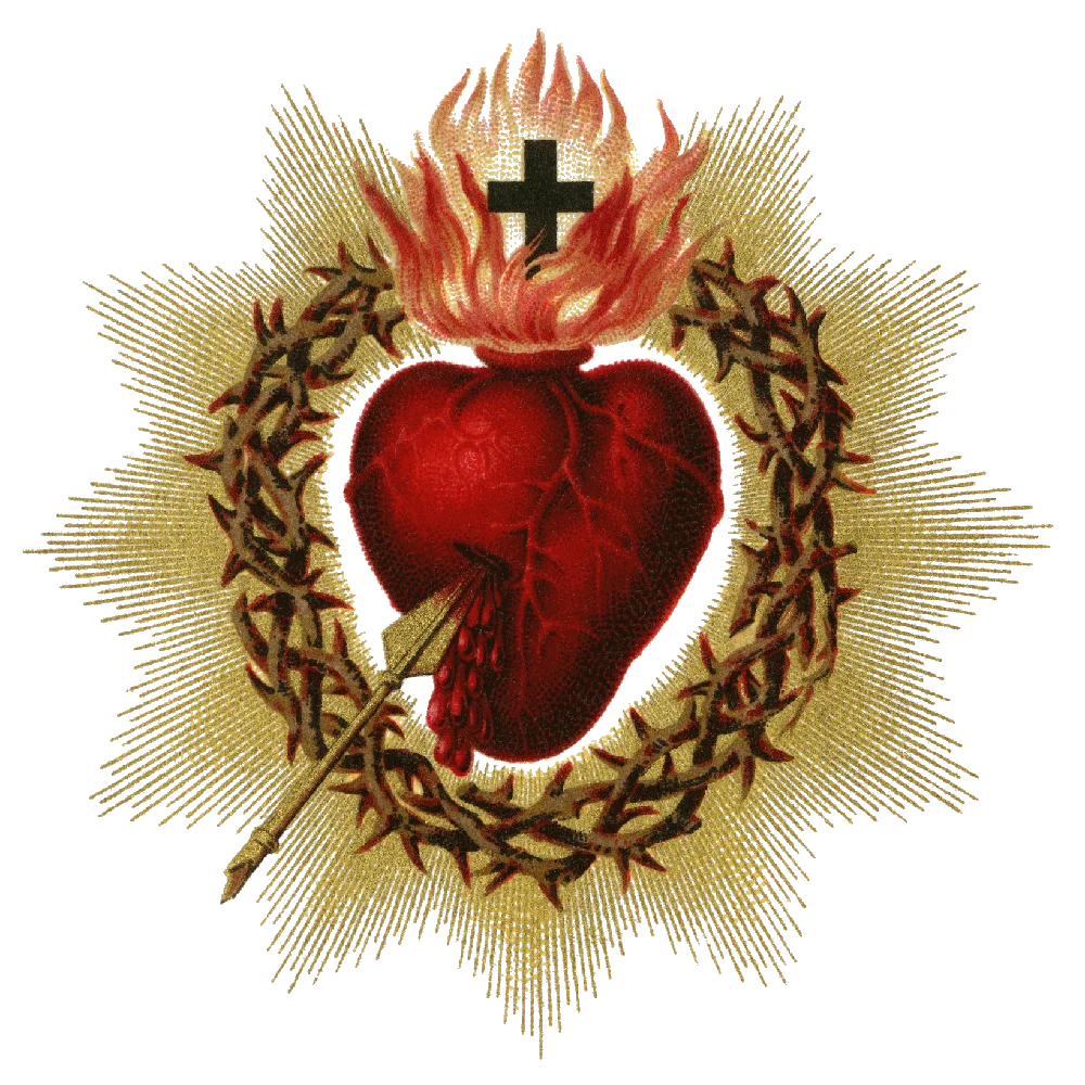 Images Of The Sacred Heart Of Jesus Sacred Heart Of Jesus Painting